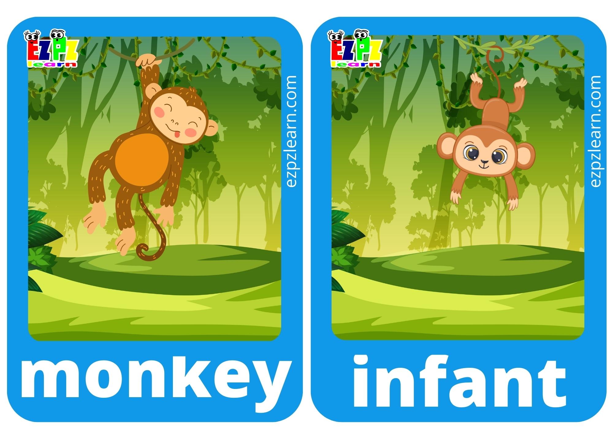 Animals and Their Young Mini Color Flashcards for Kindergarten and English Language Learners ...